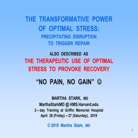 Martha Stark MD – 26 - 27 Apr 2019 – My Psychodynamic Synergy Paradigm ...