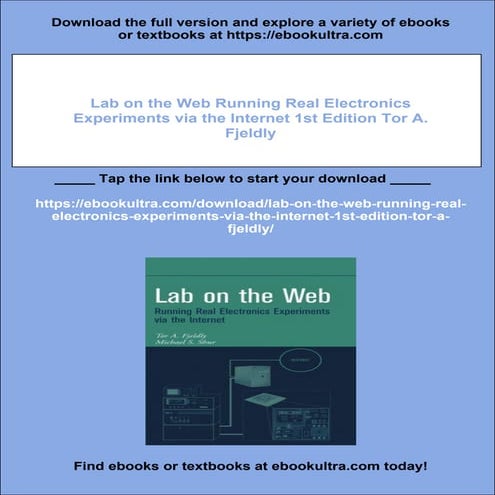 Lab on the Web Running Real Electronics Experiments via the Internet 1st Edition Tor A. Fjeldly ...