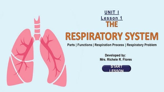 Grade 9 - Respiratory system | PPTX | Lung and Respiratory Health ...