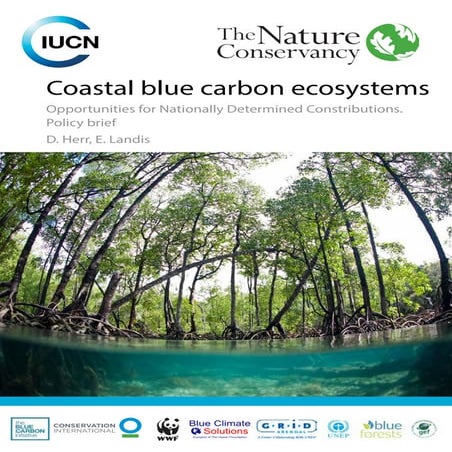 Kebijakan Blue Carbon dalam operasionalisasi global | PDF