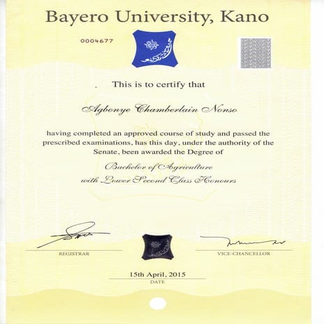 My BSc Certificate | PDF