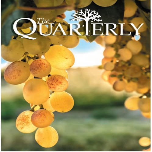The Quarterly- Writing Sample; %22California Wine%22 | PDF