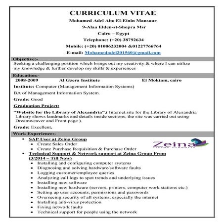 CURRICULUM VITAE Mohamed Adel | PDF
