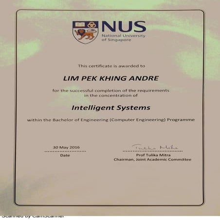NUS Intelligent Systems | PDF
