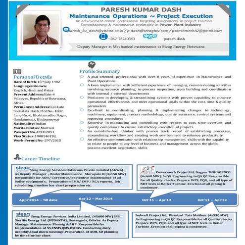 Paresh resume NRI | DOCX