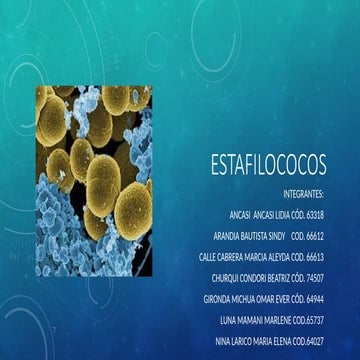 538374260-estafilococos-PRESENTACION.pptx