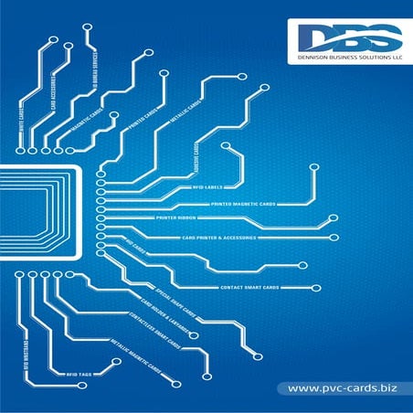 DBS Cards Profile(1) | PDF