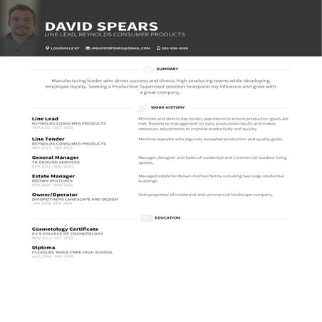 David Spears_visualcv_resume | PDF