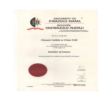 University degree | DOCX