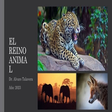 EL_REINO_ANIMAL.pptx Clase de Reino Animal | PPTX