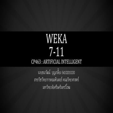 54102010330_CP463_WEKA | PPT