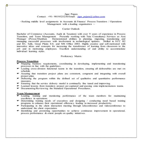 Adeel CV | DOCX
