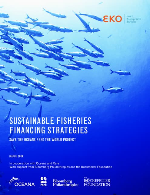 Planning and implementing a fish auction market | PDF | Fishing Sports ...