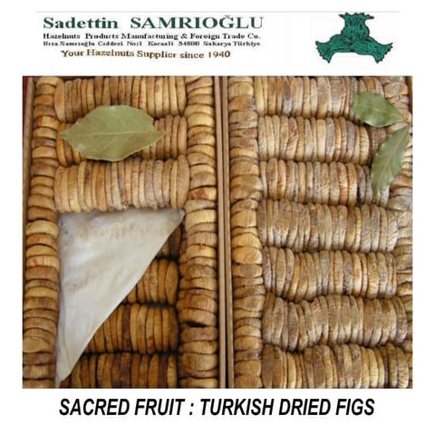 Turkish Dried Figs : Processing Stages | PPT