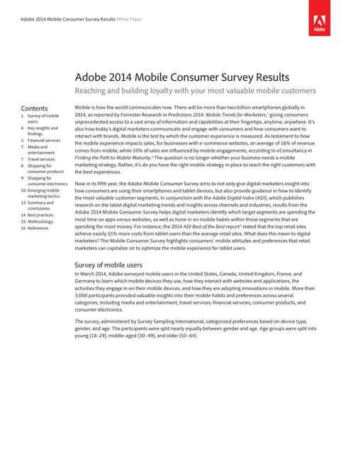 Final Report Example | PDF | Smartphones | Consumer Electronics