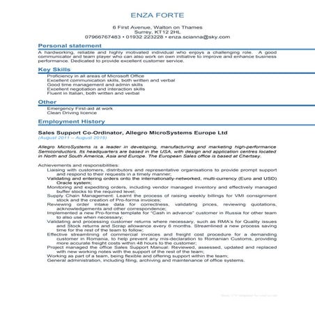 Cv ledan adrian_robert_en | PDF