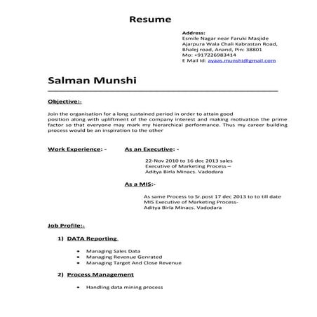 Resume for MIS Executive | DOC