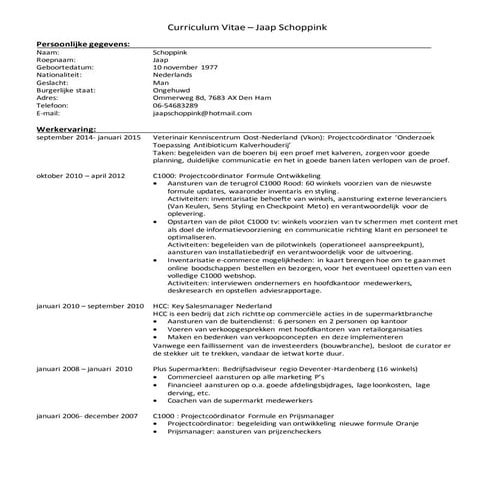Curriculum Vitae Jaap Schoppink | DOCX
