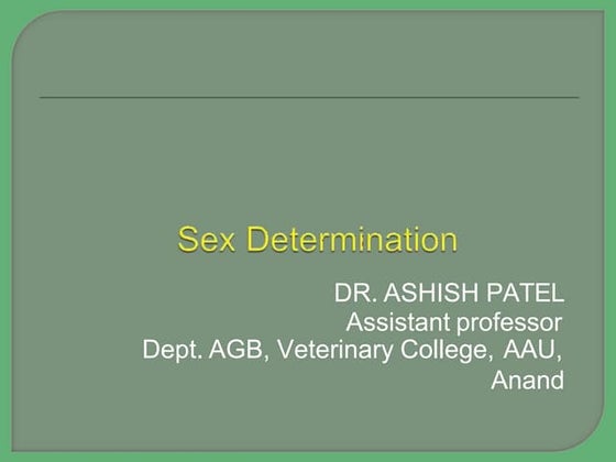 Sex Determination Chromosomal Theory Of Sex Determination Ppt