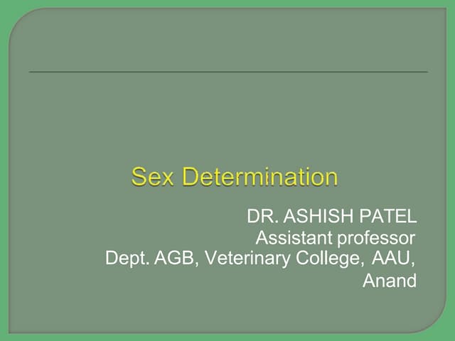 Sex Determination Chromosomal Theory Of Sex Determination Pptx