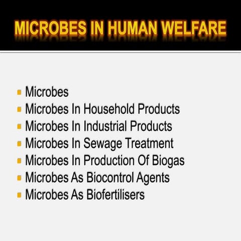 Microbes in Human Welfare PPT Class - 12 | PPTX