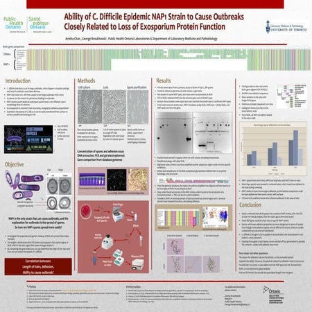 Ability of C. Difficile Epidemic NAP1 Strain to Cause Outbreaks is ...