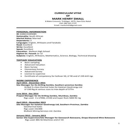 MH SMALL_CV 2016 | PDF