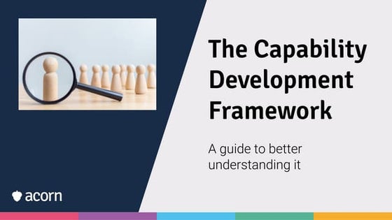4 Capability Framework Examples | PDF