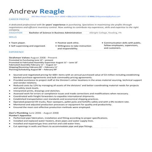 Professional_Resume | DOC
