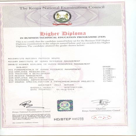 PATRICK - SCAN DIPLOMA | PDF