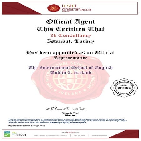 Agent Certificate 3B consultancy | PDF