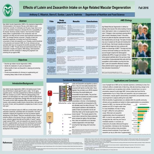 Final AMD poster 1 | PDF