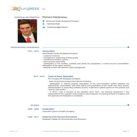 Richard Madarassy - CV | PDF