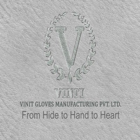 Vinit Gloves- Standard | PPT