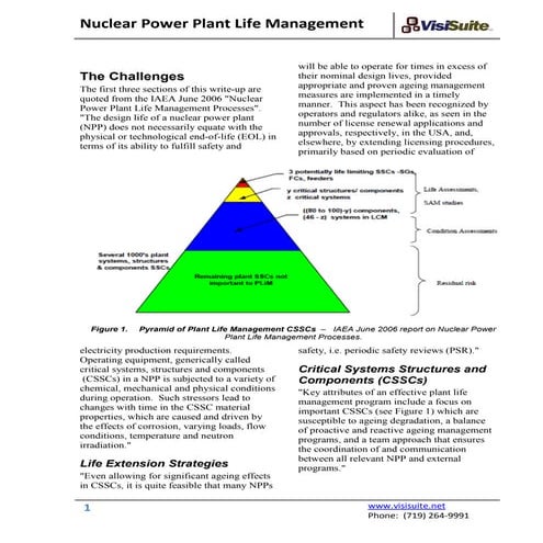 Nuclear Power Plant Risk Informed Life Management ver 9 | PDF