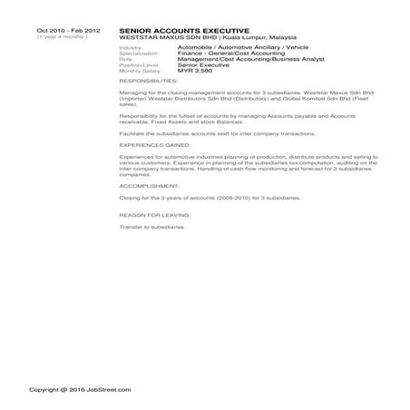 professional resume | DOCX