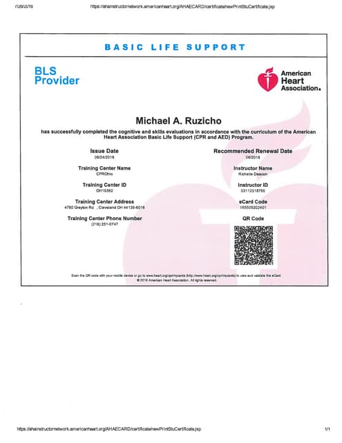 ECA Certificate | PDF