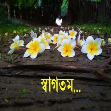 উড ওয়াকিং-১, ২য় পত্র দশম শ্রেণি ৫ম অধ্যায়- জিগ-স মেশিন | PPSX