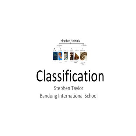 5.5 Classification | PDF
