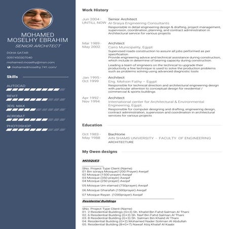 Mohamed_Moselhy_visualcv_resume | PDF