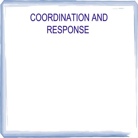 IGCSE BIO Co-ordination-and-response.pptx