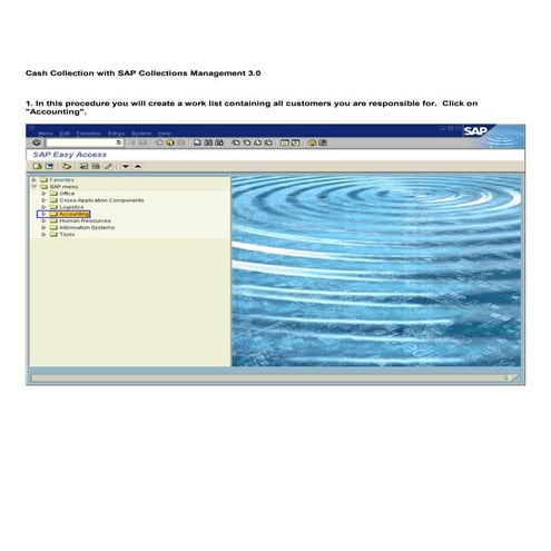 55109254 sap-collections-management | PDF