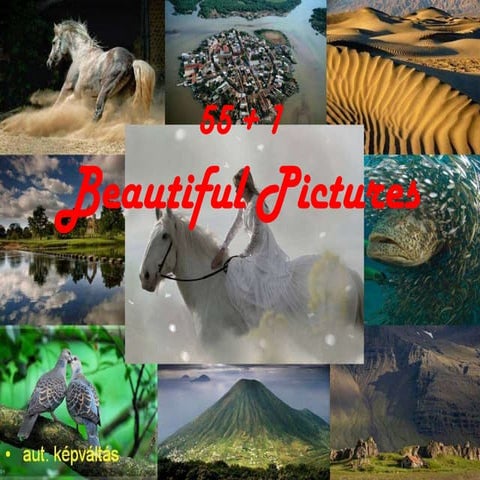 FANTASTIC PHOTO MIX (`*•.¸(`*•.¸¸ | PPS