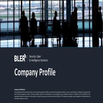 BLER_Company Intro | PDF
