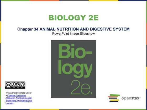 Nutrition in Animals, Class 7, Science Chapter-2 | PPTX | Dental Health ...