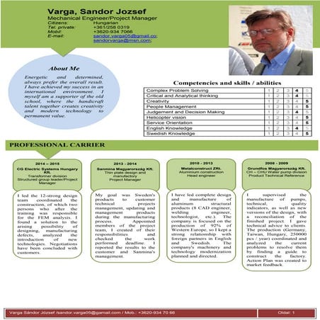 Varga Sándor CV_English_2016 | PDF | Manufacturing Industry | Industries