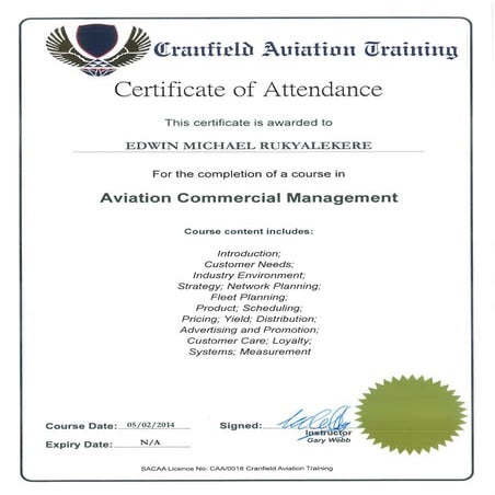 aviation commercial management certificate | PDF