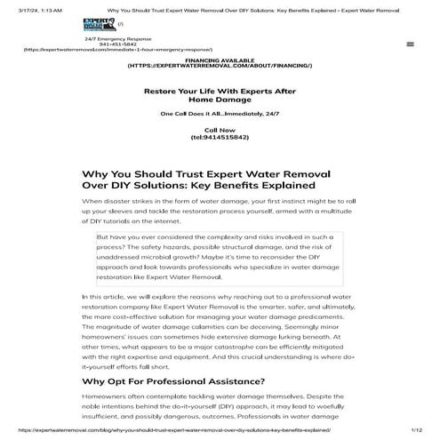 Why You Should Trust Expert Water Removal Over DIY Solutions | PDF ...