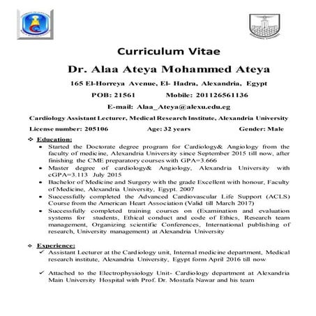 Sallam CV | DOC