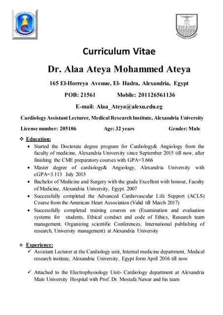 wissam cv english | PDF